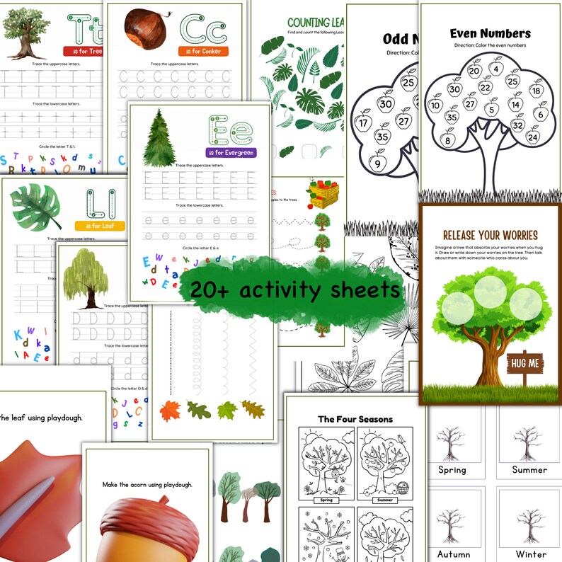 Trees Leaves Unit Study Tree Forms Parts of a Tree Parts of - Etsy
