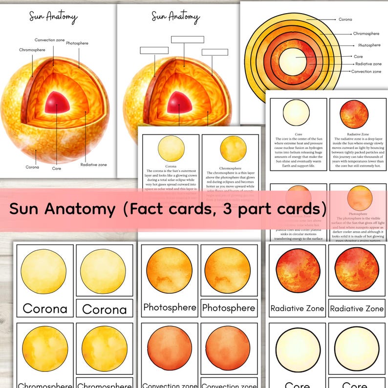 SUN UNIT STUDY, Sun Anatomy, Sun Printables, Sun Worksheets, Sun Layers ...