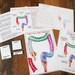 Human Large Intestines Anatomy Printable Activity, Large Intestines ...