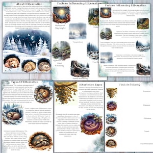 Hibernation Unit Study, Winter Sleep Unit Study, Winter Unit, Winter ...