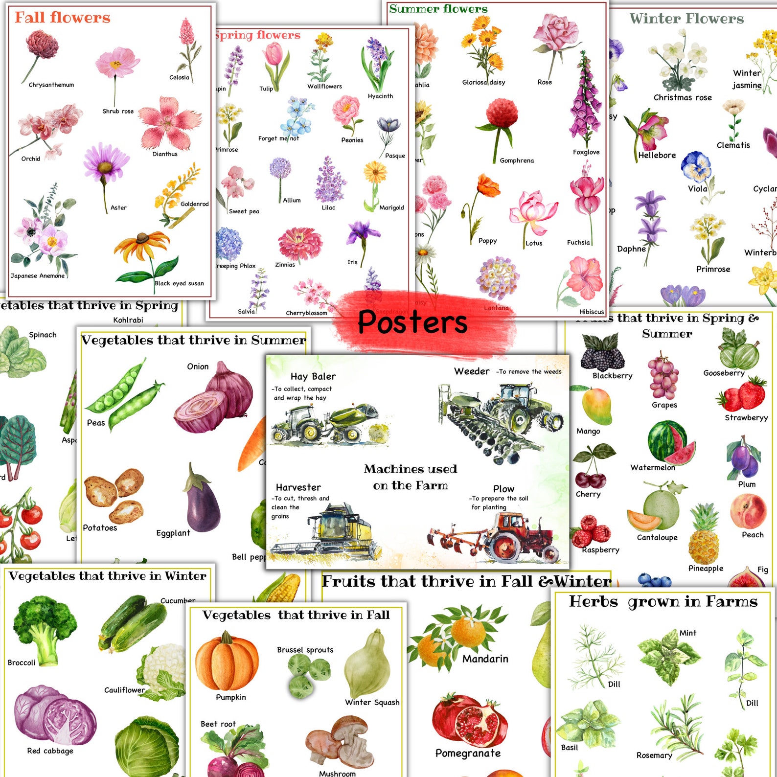 Farm Unit Study, Chicken Unit Study, Farm Animals Activities, Pea Plant ...