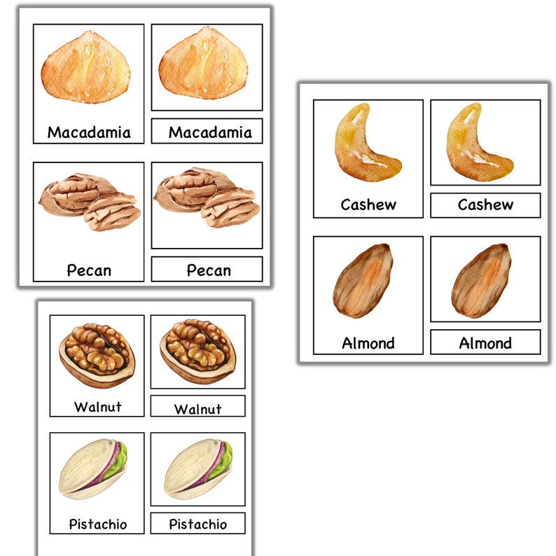 Nuts Unit Study, Drupes Unit, Cashew Life Cycle, Pistachio Life Cycle ...