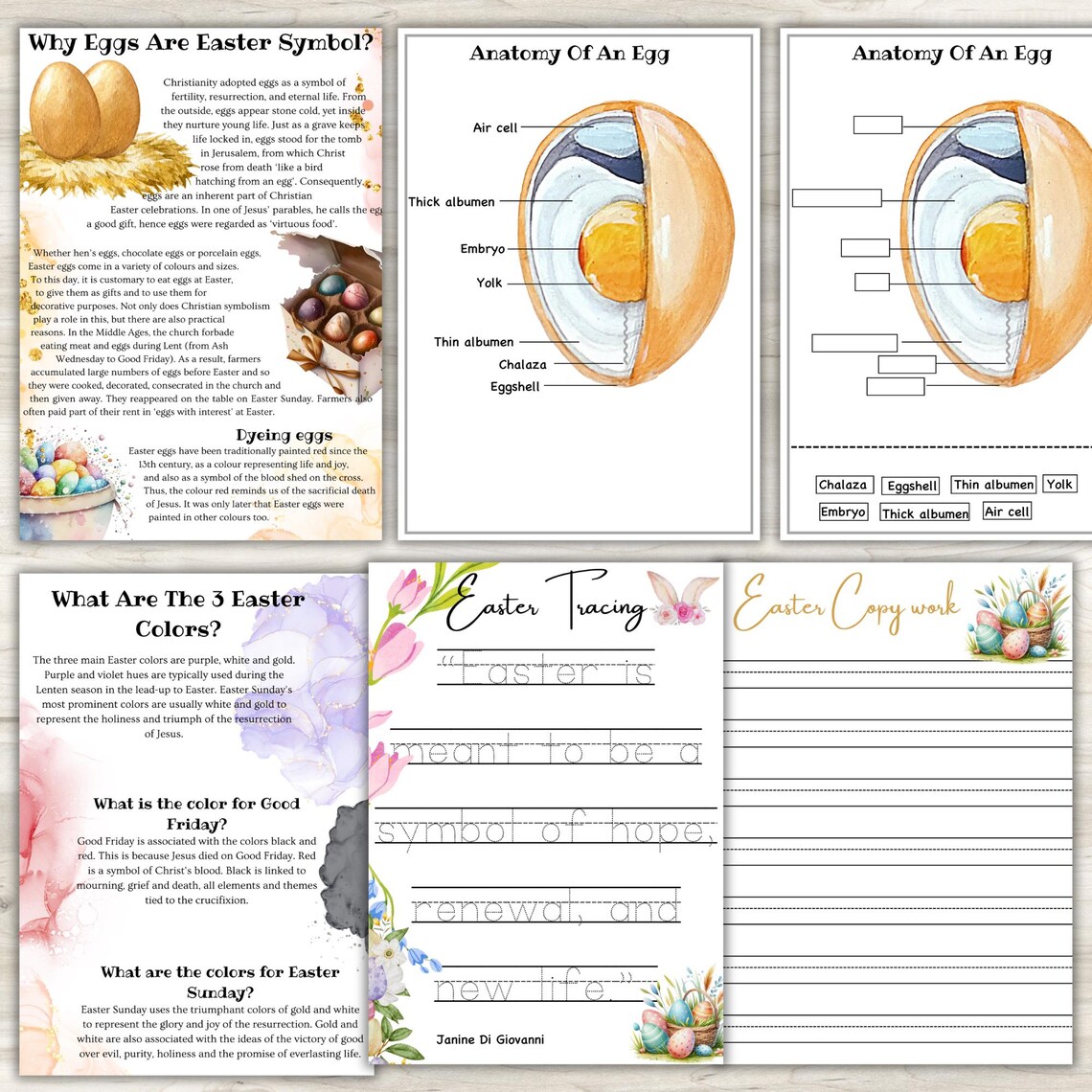 Easter Unit Study, Easter Activities Printable, Easter Pack, Rabbit ...