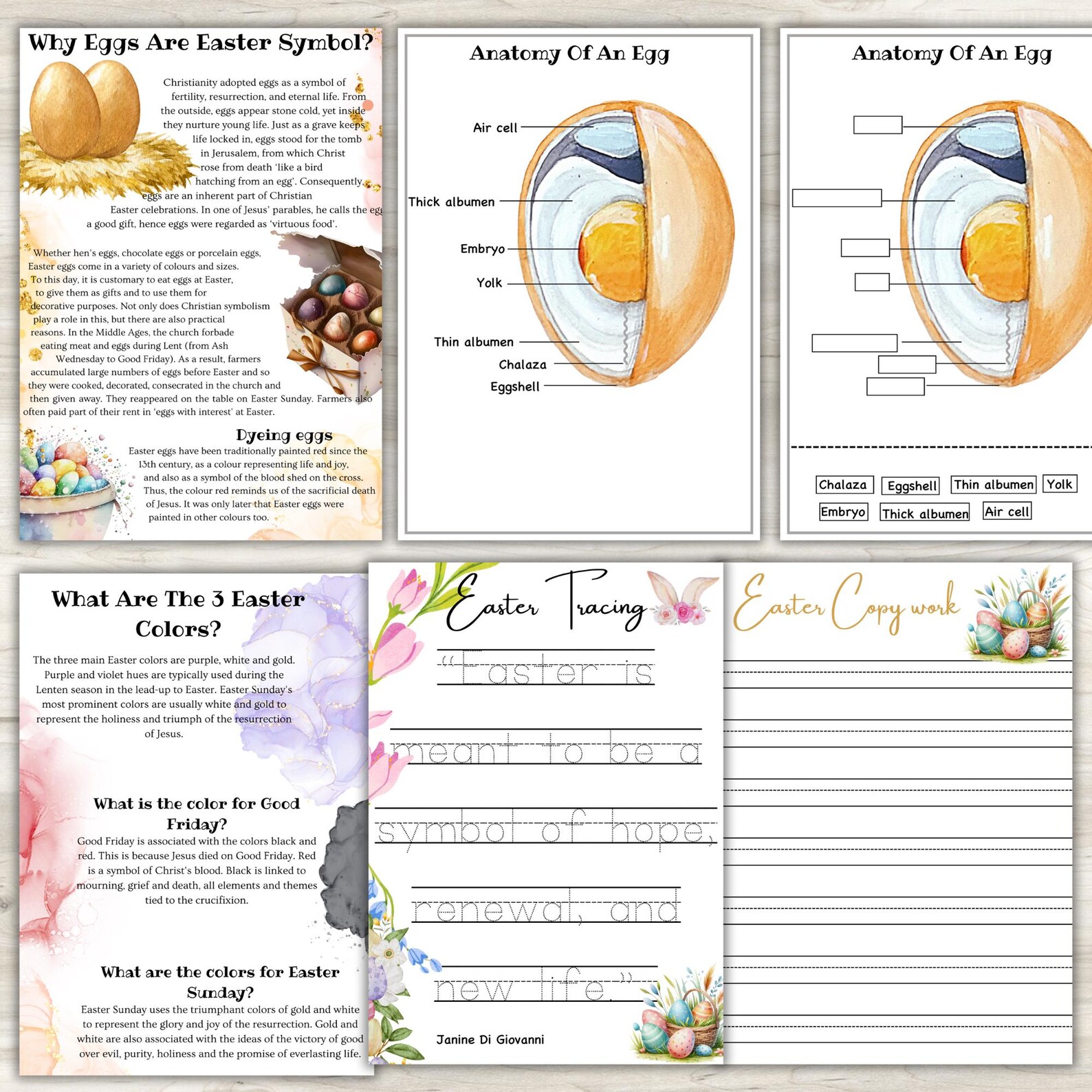 Easter Unit Study, Easter Activities Printable, Easter Pack, Rabbit ...