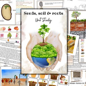 BOTANY Bundle, Flower Unit, Roots Unit, Fruits Unit, Trees Unit, Leaf ...