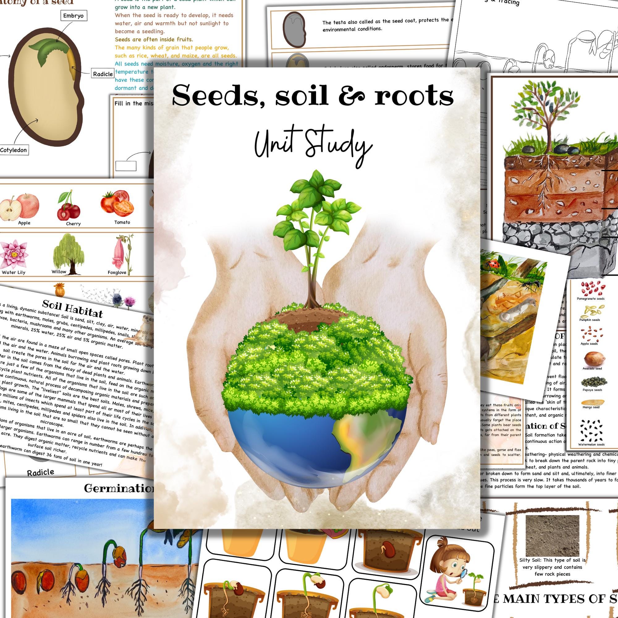 BOTANY Bundle, Flower Unit, Roots Unit, Fruits Unit, Trees Unit, Leaf ...