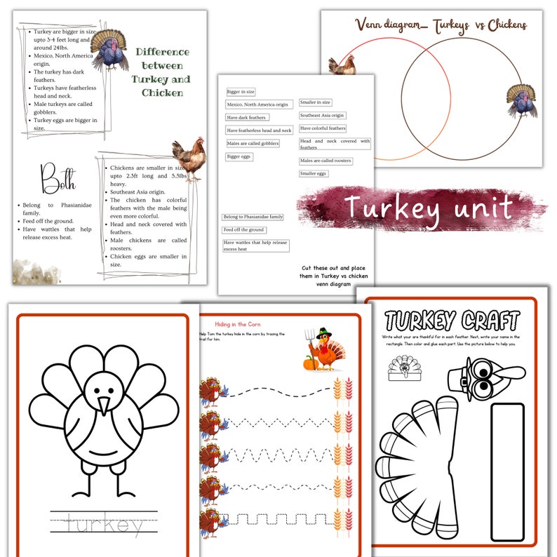Thanksgiving Unit Study, Turkey Unit Study, Pilgrims Activity, Autumn ...