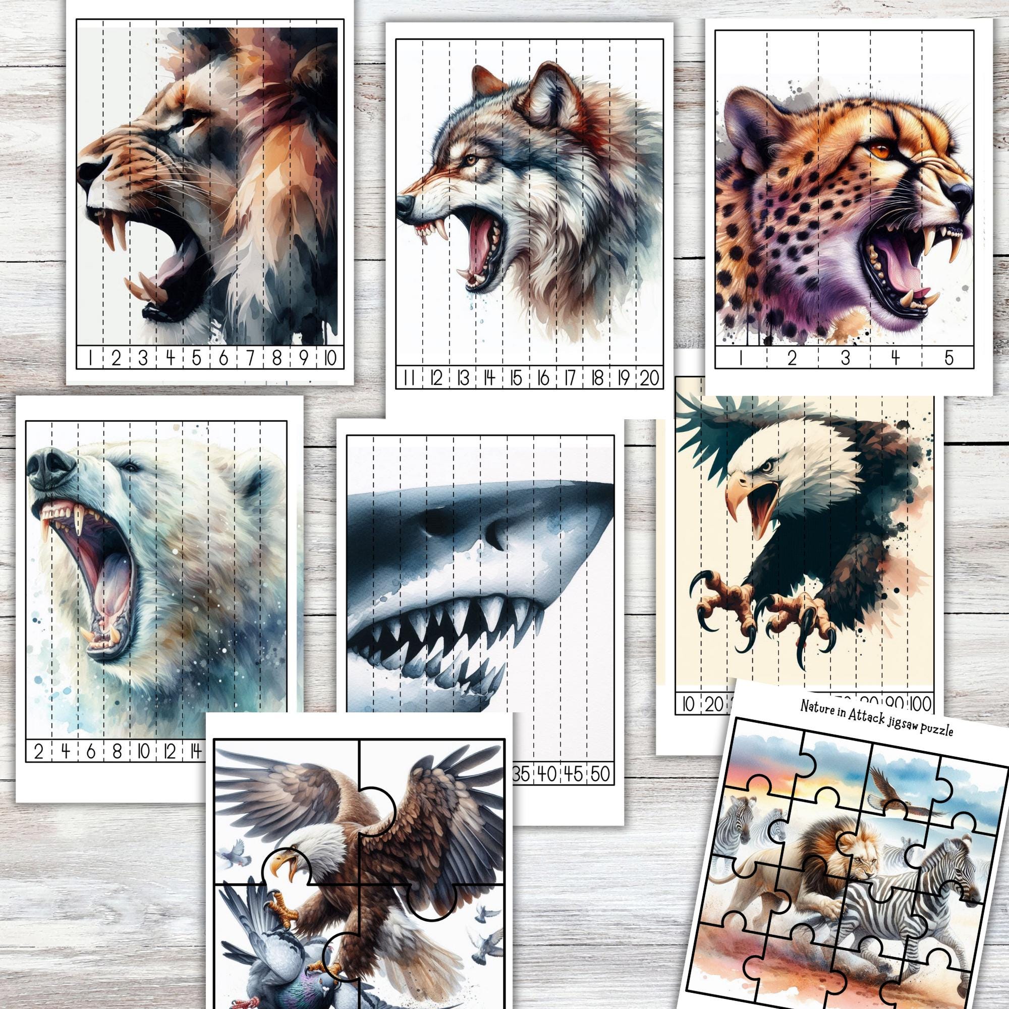 Nature in Attack Unit Study, Predators Unit, Lion Unit, Shark Unit ...