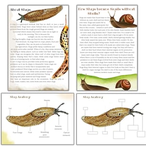 Snail Unit Study, Garden Snail Printable, Nature Study, Summer ...
