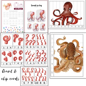 Octopus Mini Unit Study, Octopus Printable Puzzle, Octopus Activities ...