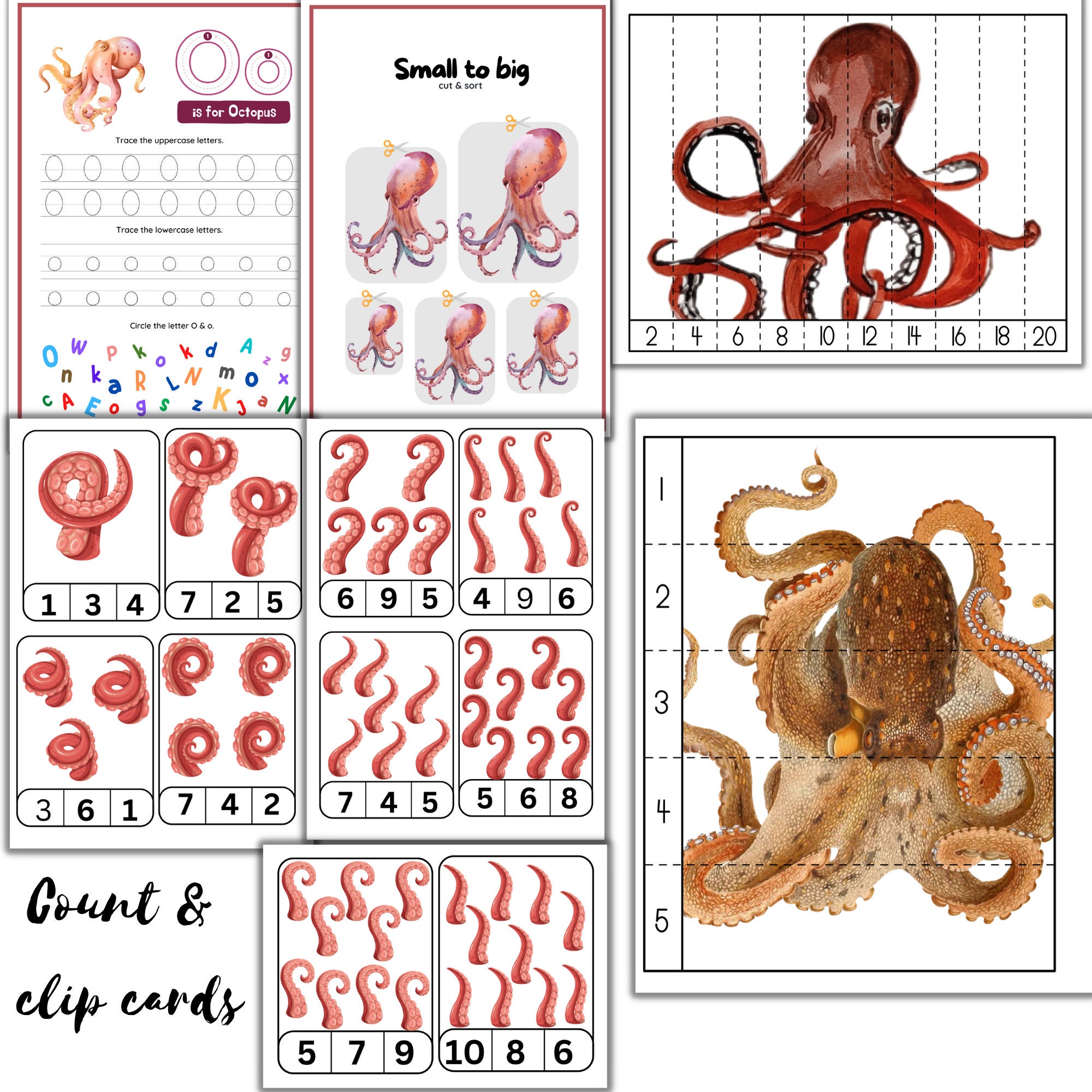 Octopus Mini Unit Study, Octopus Printable Puzzle, Octopus Activities ...