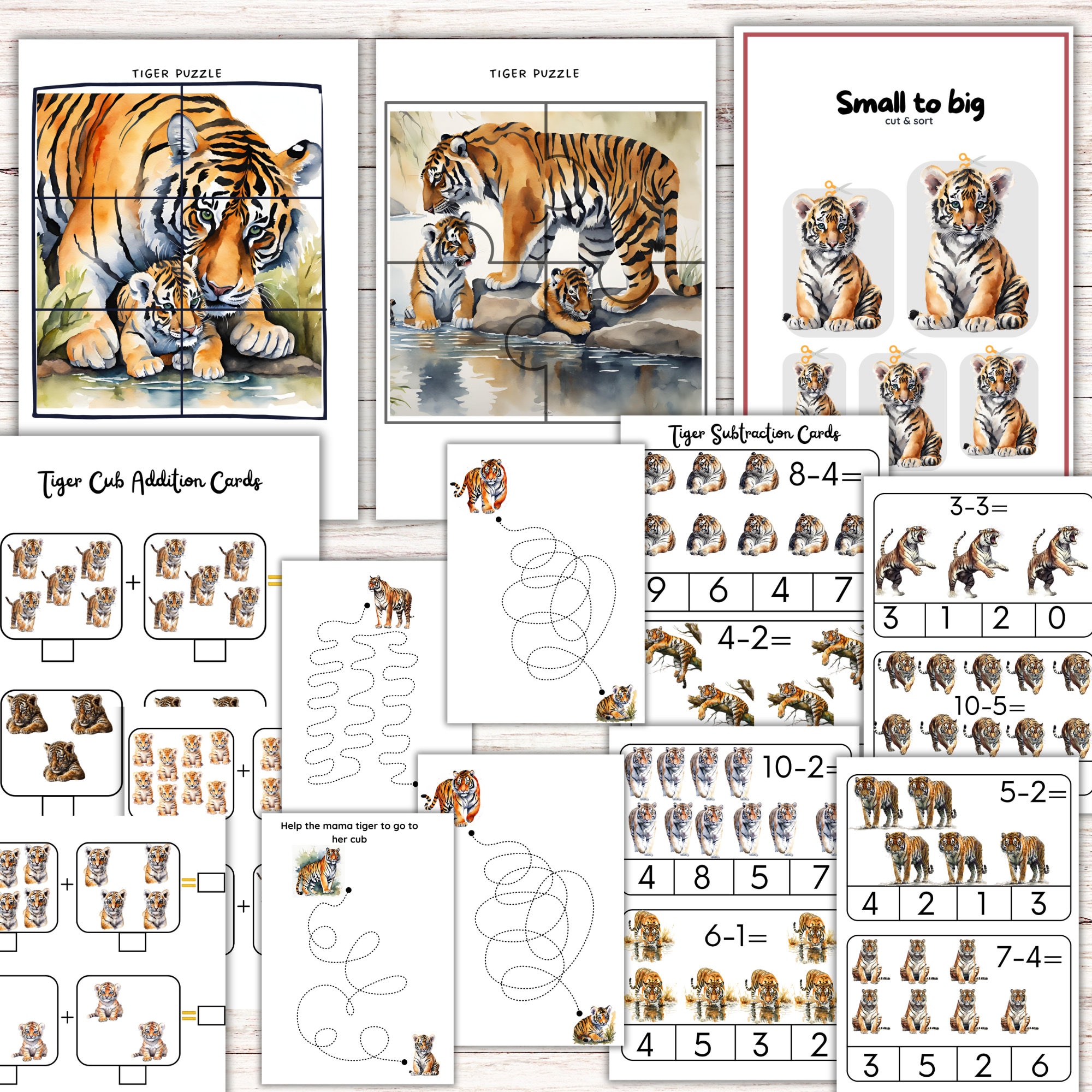Cat Unit Study, Cat Anatomy, Tiger Anatomy, Big Cats Unit, Cat ...