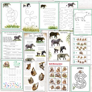 Rainforest Unit Study, Biome Unit , Rainforest Animals Worksheets ...