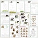 Rainforest Unit Study, Biome Unit , Rainforest Animals Worksheets ...