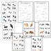 Winter Forest Animals Unit Study, Winter Activities, Animal Tracks Unit ...