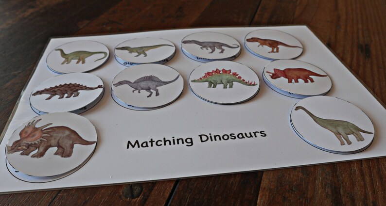Dinosaurs Matching Printable, Dinosaurs Unit Study, Names of Dinosaurs ...