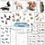 Mammals Unit Study, Elephant Unit Study, Bat Unit Study, Whale Unit ...