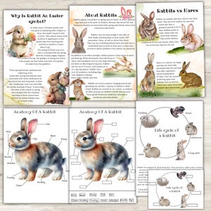 Easter Unit Study, Easter Activities Printable, Easter Pack, Rabbit ...