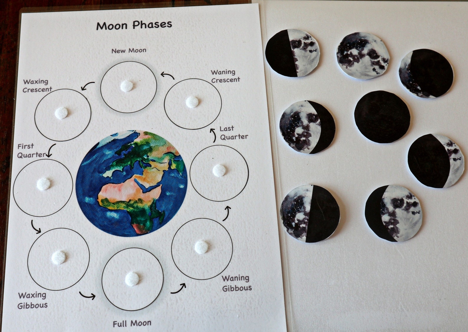 Moon Phases Printable Moon Anatomy Moon Unit Study 3 Parts - Etsy UK