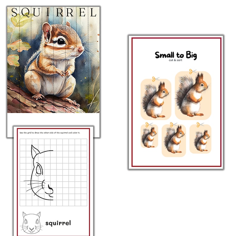 Squirrel Unit Study, Squirrel Life Cycle, Squirrel Anatomy, Fall Unit ...