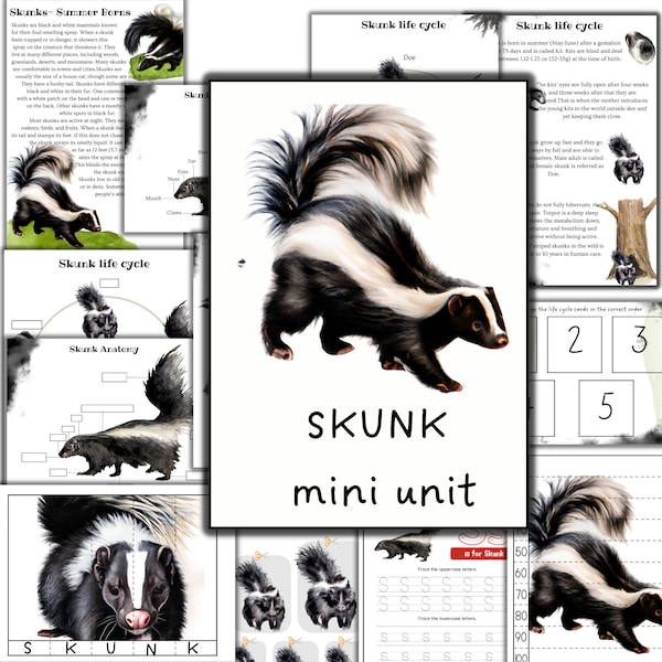 Skunk Life Cycle - Etsy