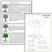 Parts of a Tree Puzzle Tree Unit Study Tree Anatomy 3 Part - Etsy