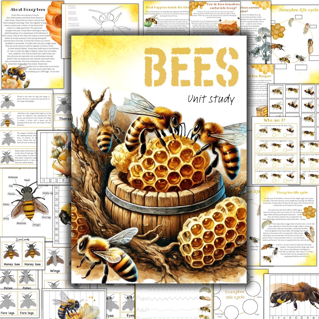 Honey Bee Unit Study, Honey Bee Puzzle Printable, Honey Bees Anatomy ...
