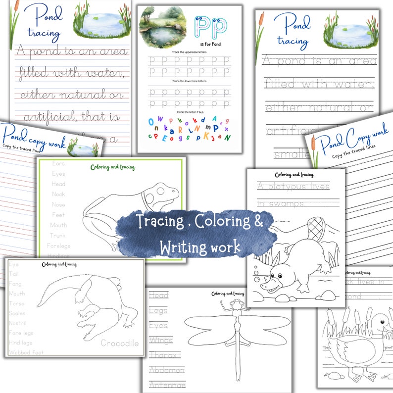 Pond Unit Study, Wetlands Unit, Swamp Unit, Dragonfly Unit Study, Pond ...