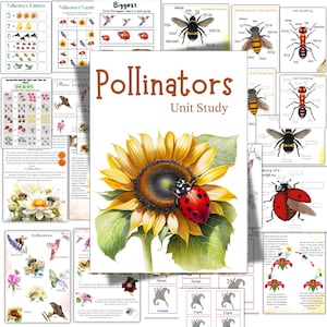 Pollinators Unit Study, Flower Anatomy, Pollination Process, Nature ...