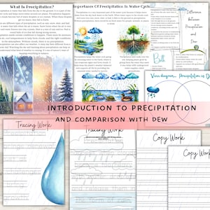 Precipitation Unit Study, Water Cycle, Weather Unit, Nature Study ...