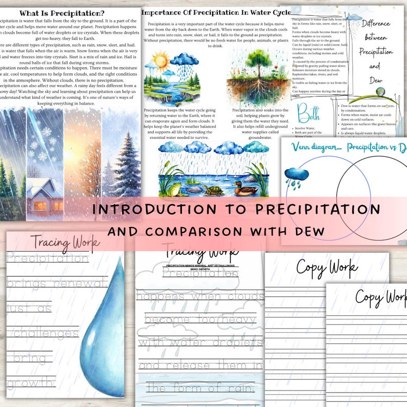 Precipitation Unit Study, Water Cycle, Weather Unit, Nature Study ...