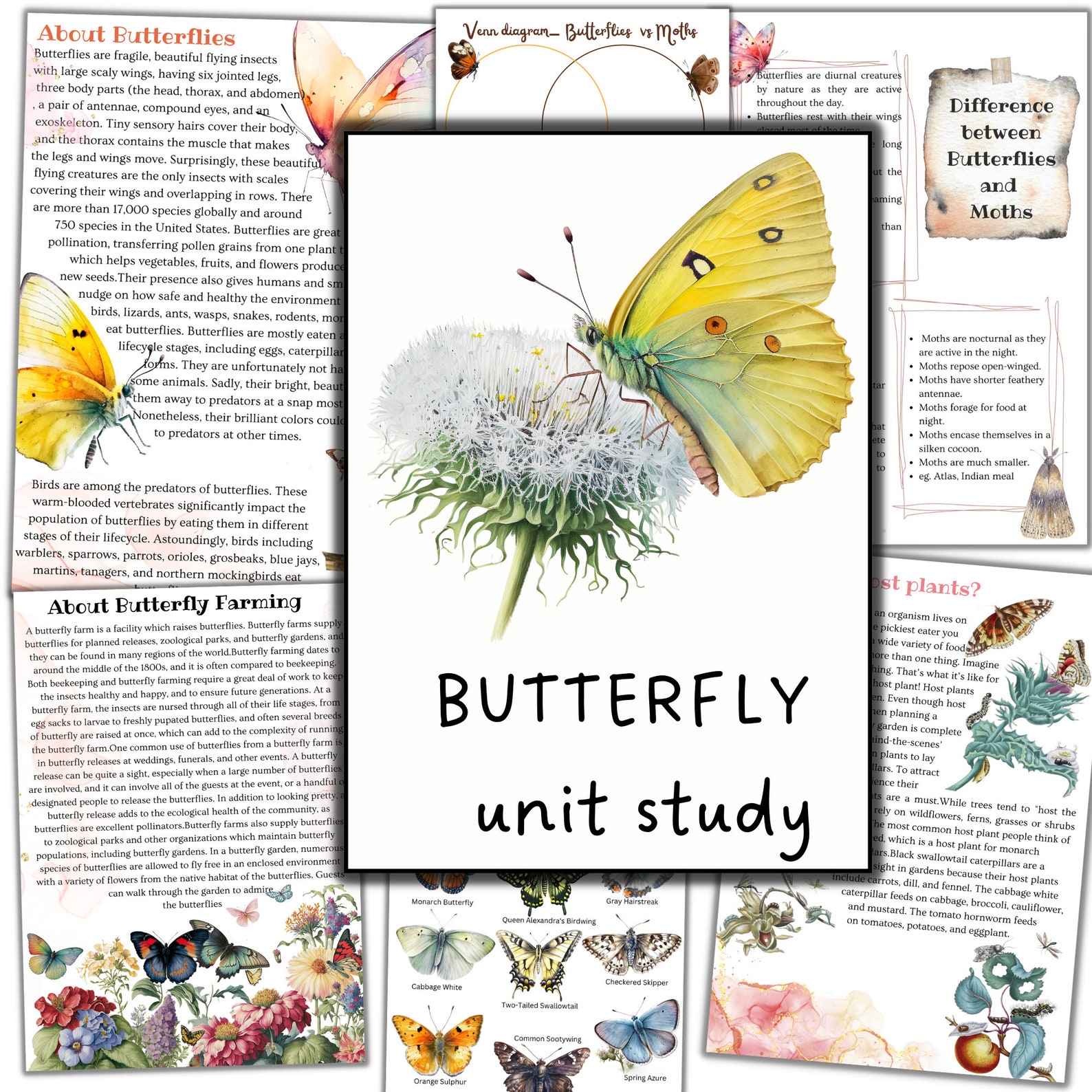 Butterfly Unit Study, Butterfly Printable Puzzle, Butterfly 3 Part ...