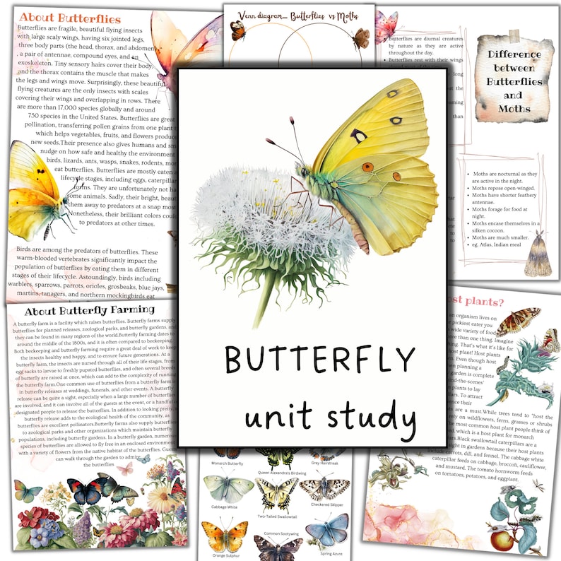 Butterfly Unit Study, Butterfly Printable Puzzle, Butterfly 3 Part ...