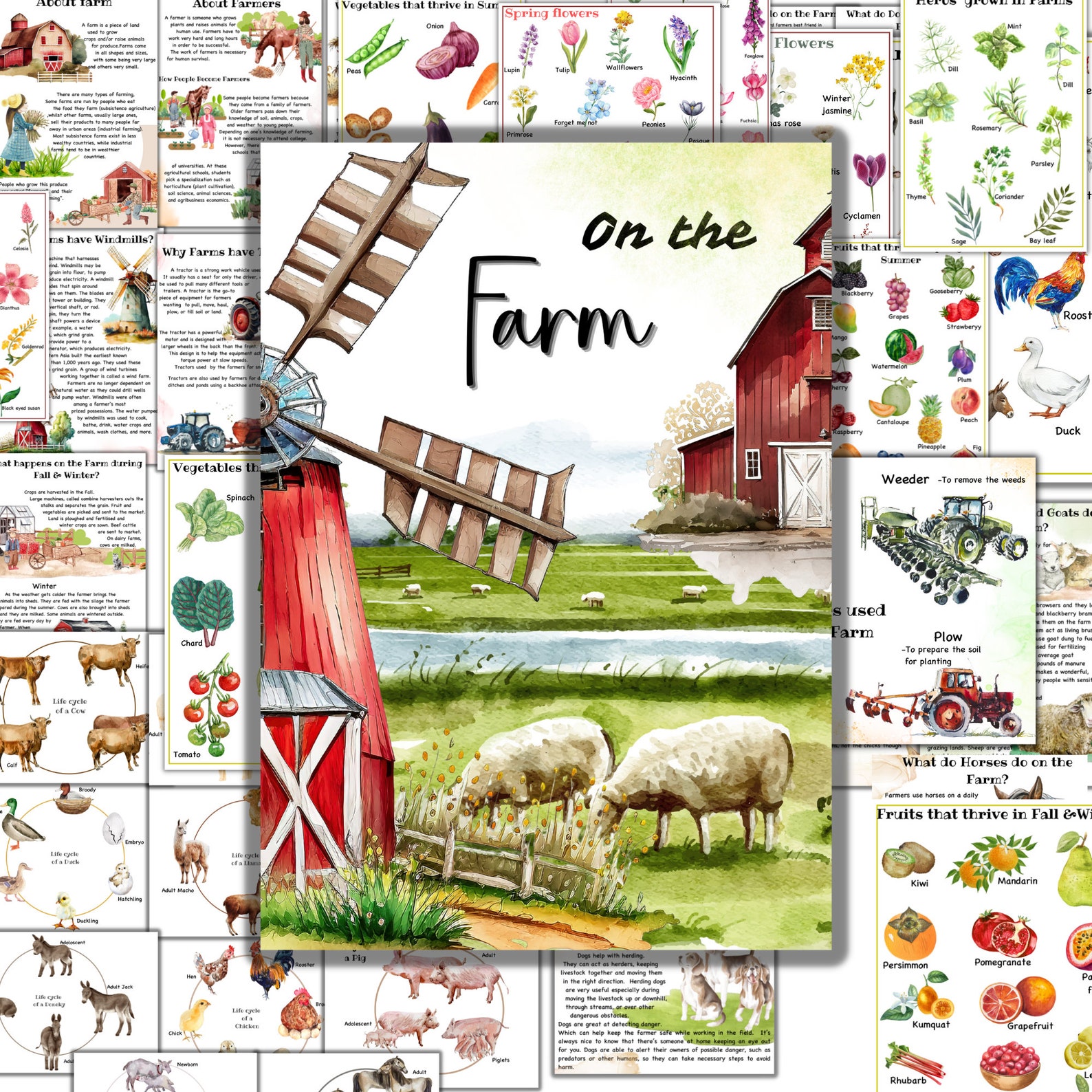 Farm Unit Study, Chicken Unit Study, Farm Animals Activities, Pea Plant ...