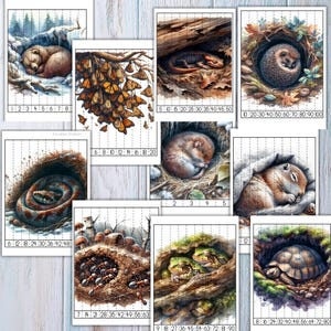 Hibernation Unit Study, Winter Sleep Unit Study, Winter Unit, Winter ...