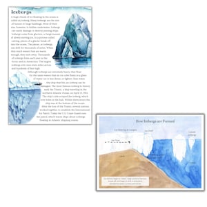Iceberg Mini Unit, Winter Printable Activity, Antarctica Activity ...