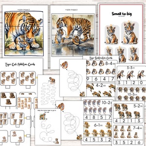 Cat Unit Study, Cat Anatomy, Tiger Anatomy, Big Cats Unit, Cat ...