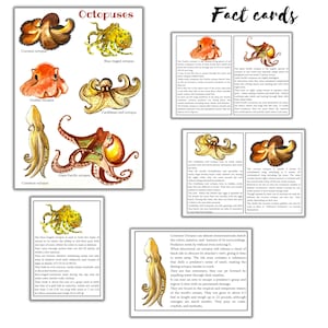 Octopus Mini Unit Study, Octopus Printable Puzzle, Octopus Activities ...