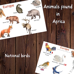 Europe Unit Study Printable, Europe Puzzle, 3 Part Cards Europe, Europe ...