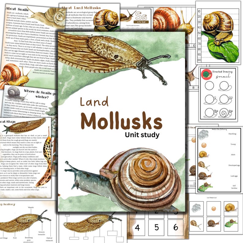 Zoology Unit Study, Animal Kingdom Unit, Fish Unit, Mammals Unit ...