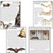 Bat Mini Unit Study, Bat Anatomy, Bat Life Cycle, Bats Poster Watecolor ...