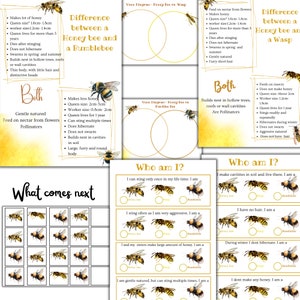 Honey Bee Unit Study, Honey Bee Puzzle Printable, Honey Bees Anatomy ...