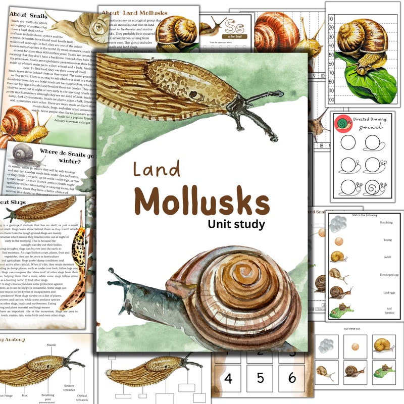 Crochet Snail - Etsy