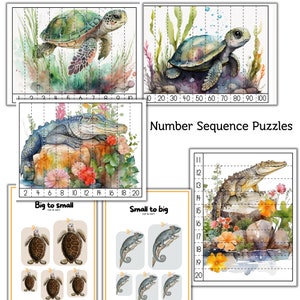 Reptiles Unit Study, Crocodile Unit Study, Turtle Unit Study, Reptiles ...