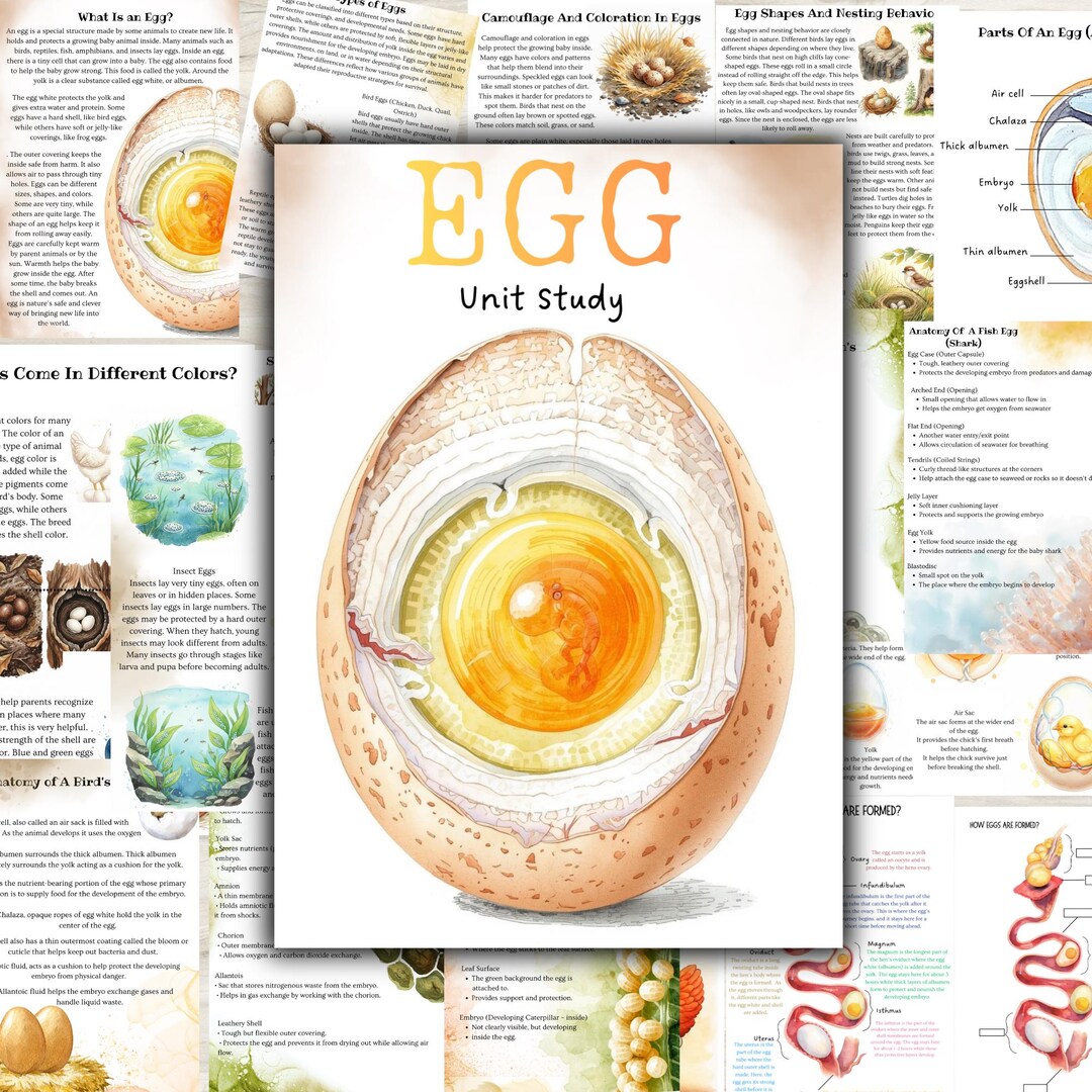 EGG UNIT STUDY, Egg Anatomy, Nature Study, Spring Study, Homeschool ...
