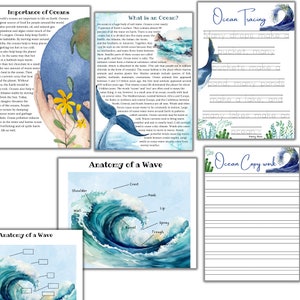 Ocean Unit Study, Ocean Layers, Ocean Animals Study, Ocean Families ...