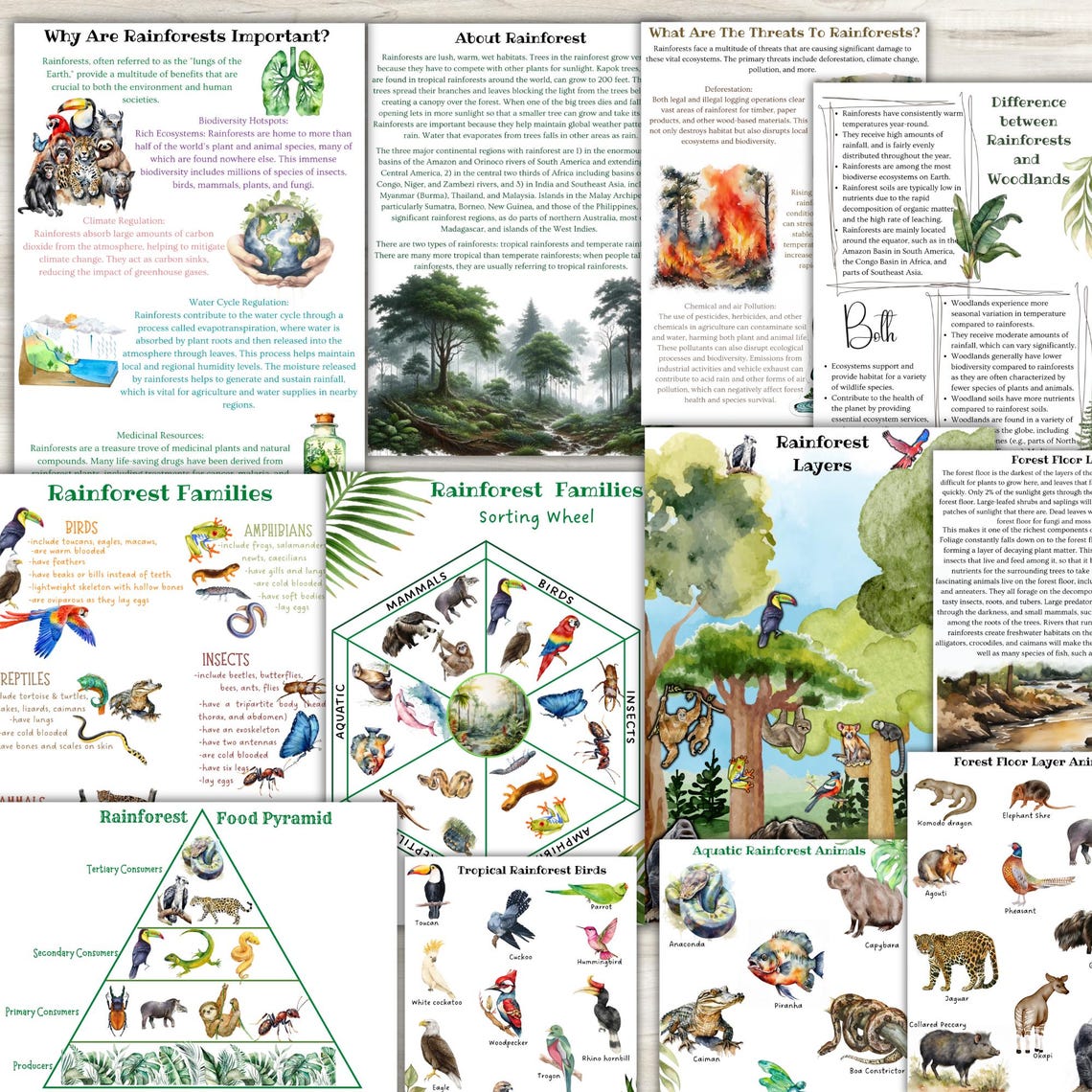 Biomes Unit Study, Land Biome, Geography Unit , Geography Homeschool ...