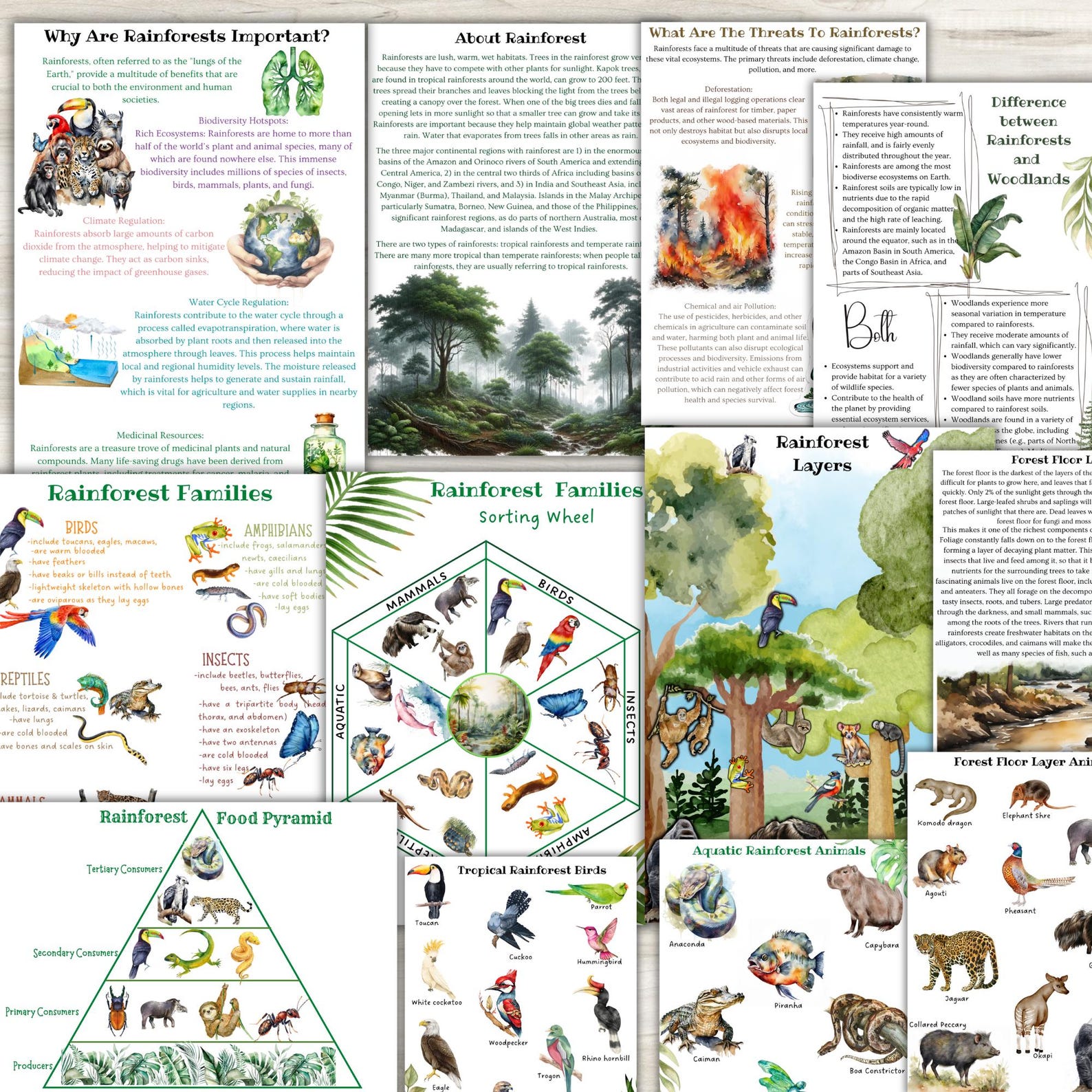 Biomes Unit Study, Land Biome, Geography Unit , Geography Homeschool ...