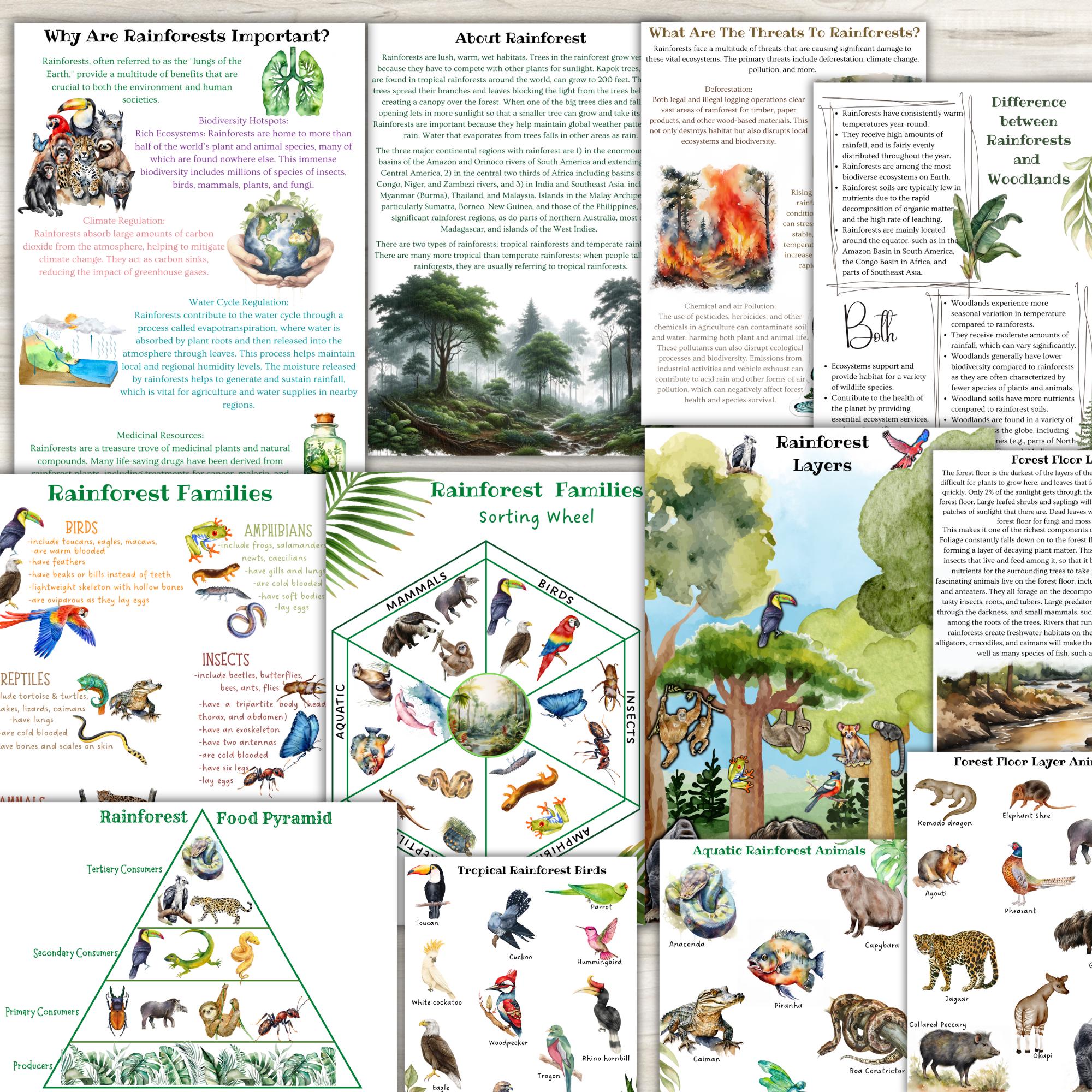 Biomes Unit Study, Land Biome, Geography Unit , Geography Homeschool ...