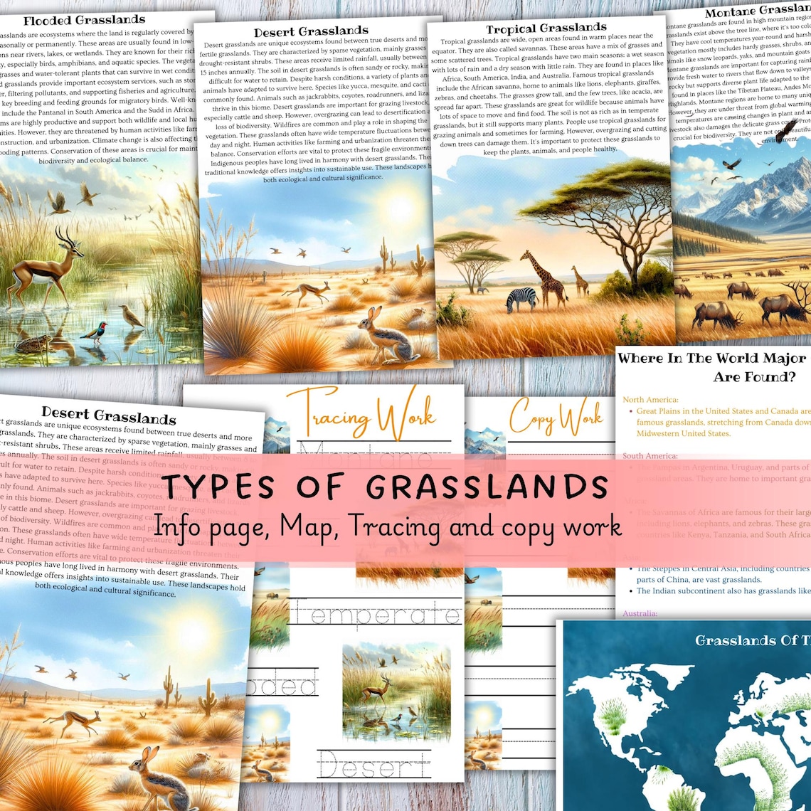 Grasslands Unit Study, Biome Unit Study, Wheat Unit Study, Grass Life ...